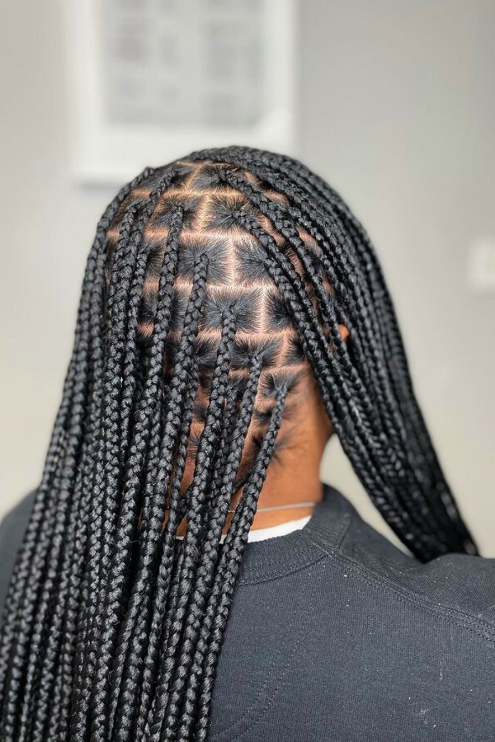 30 Box Braids Hairstyles - Scan to Talk